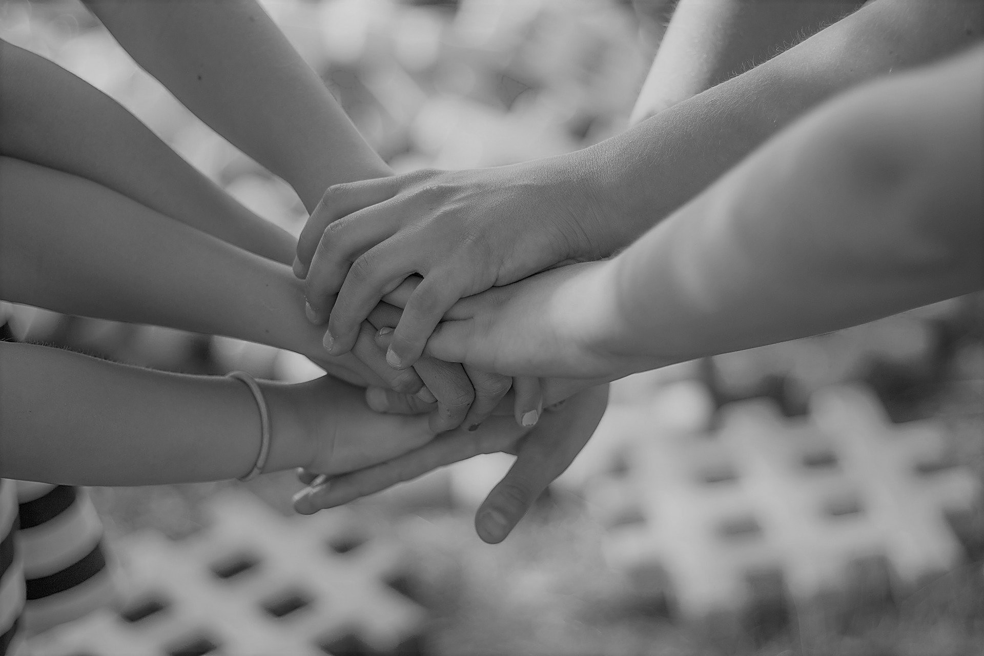 Direktion & Team | BAfEP